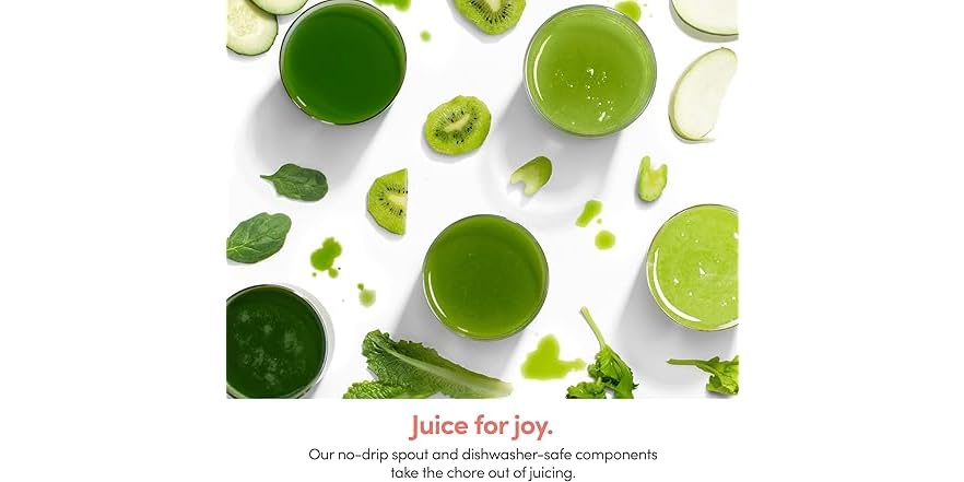 (NEW) Nutribullet NBJ50300 24oz Slow Juicer