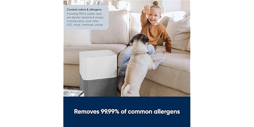 BLUEAIR Air Purifier Large Room (Open Box)