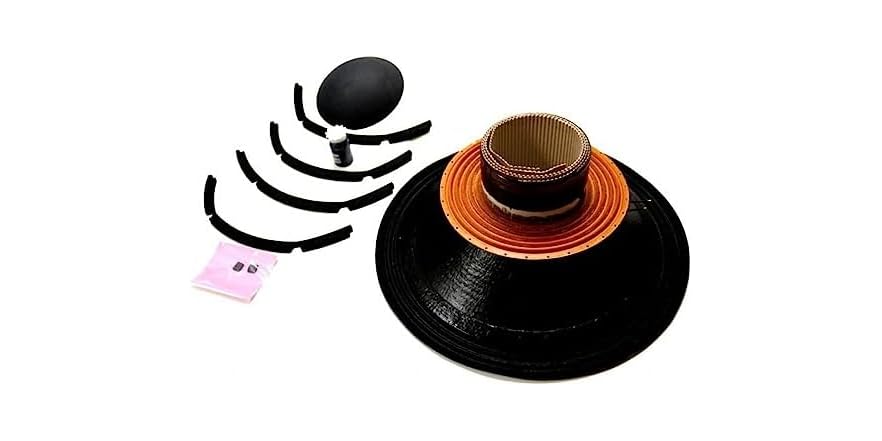 B & C Speakers RCK18IPAL Recone Kit Replacement for IPAL 18IPAL 18-inch ...