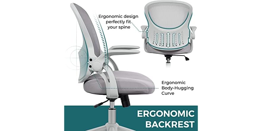 SMUG Home Office Ergonomic Desk Chair (Open Box)