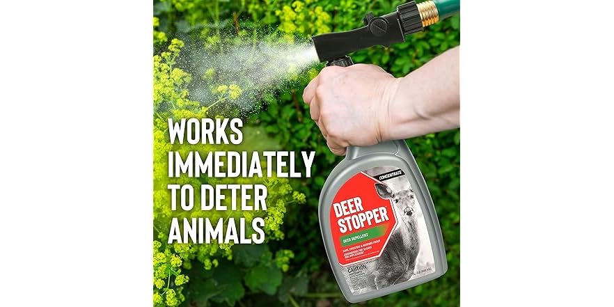 Messina 1 Gallon Deer Stopper