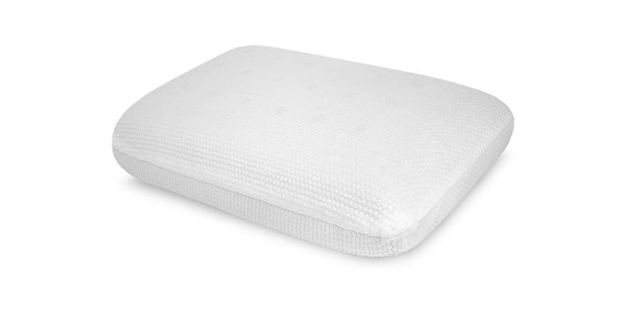 Biopedic On the Go Pillow