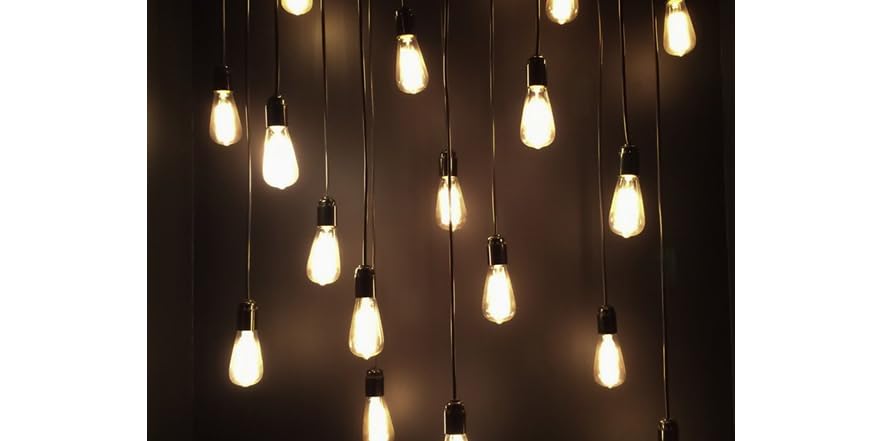 Vintage Edison Bulbs 40W or 60W - Your Choice