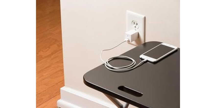 LizaTech LizaCam USB Wall Plug With Hidden IP Camera