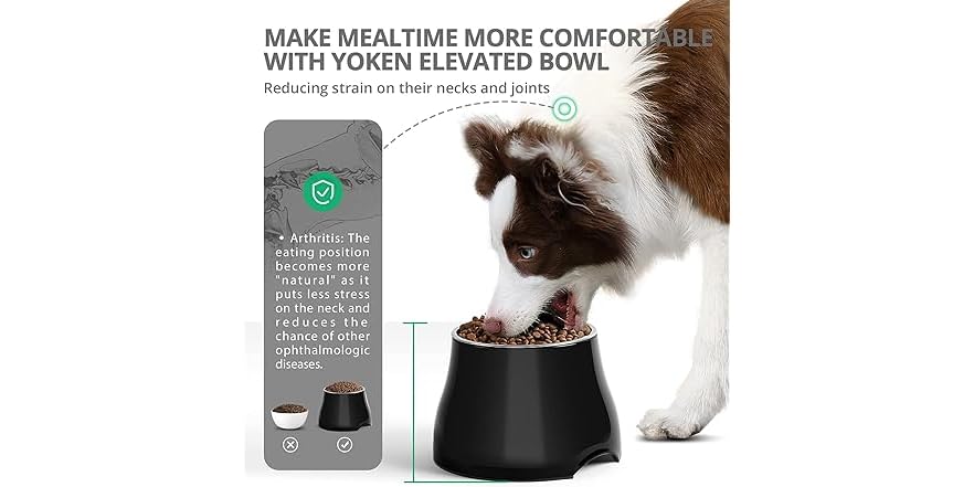 Yoken Sturdy Elevated Dog Bowls 2 Packs (Open Box)