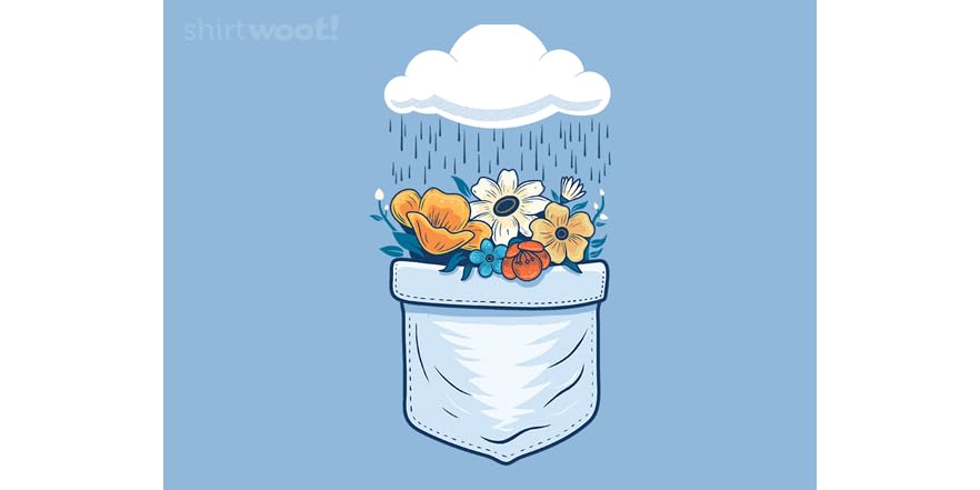 Pocket Rain