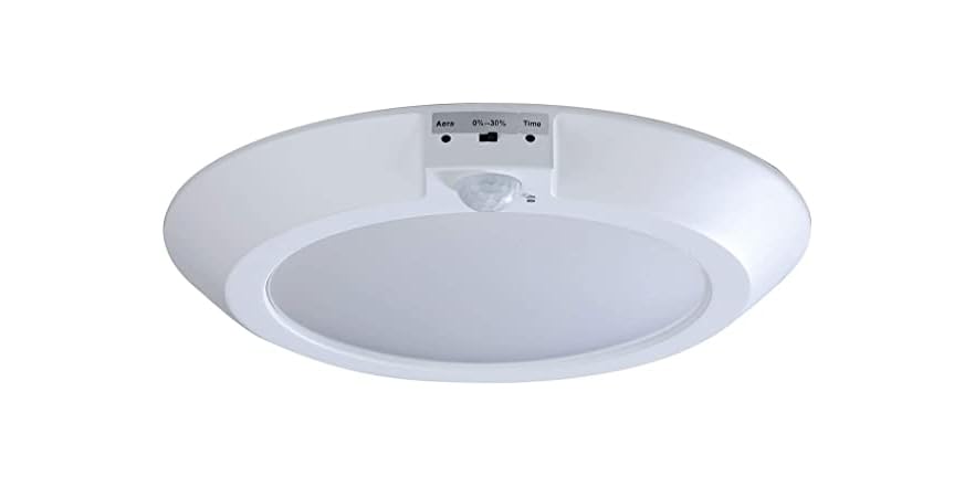 LED Disk Light Fixture