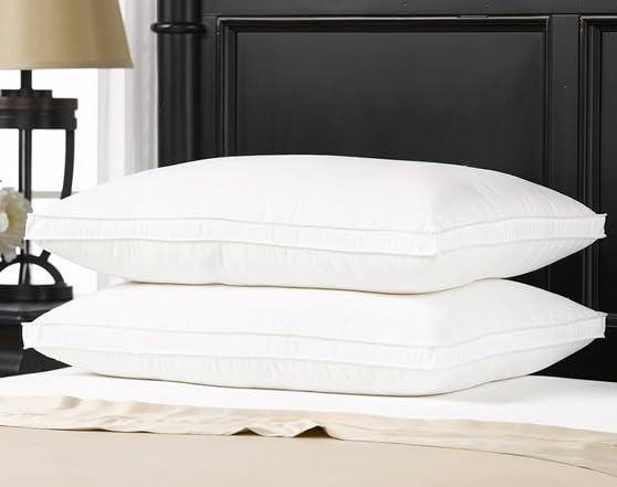 2 Pack Ella Jayne Home Memory Fiber Pillow