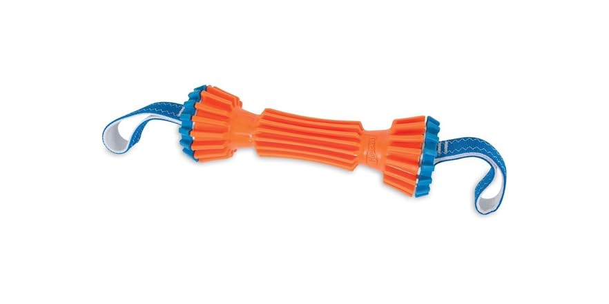ChuckIt! Rugged Bumper Dog Toy, Medium