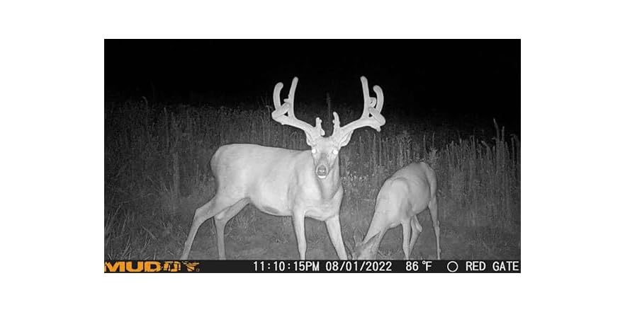 Muddy Mitigator Cellular Trail Camera