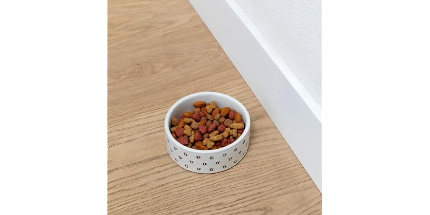 Fringe Studio Speckled Block Bone Small Ceramic Pet Bowl