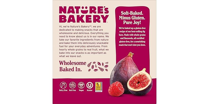Nature's Bakery Raspberry Fig Bar, 6 Count, 2 Ounce
