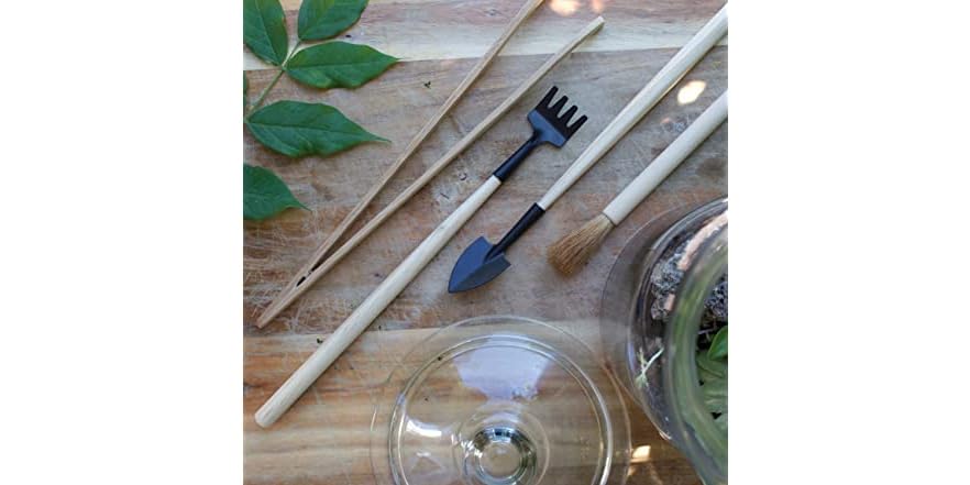 Terrarium Tool Kit
