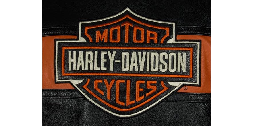 Harley Davidson Men's Colorblock Classic Leather Jacket