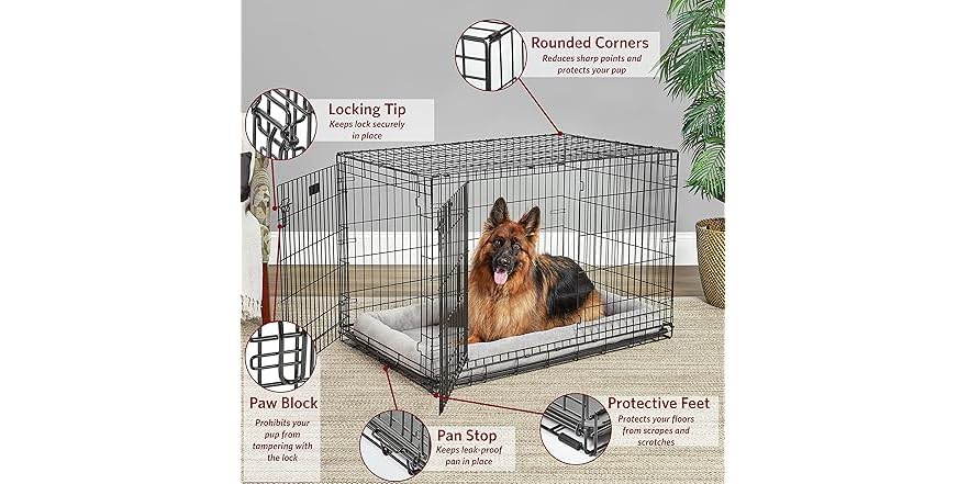 MidWest Homes for Pets XL Dog Crate