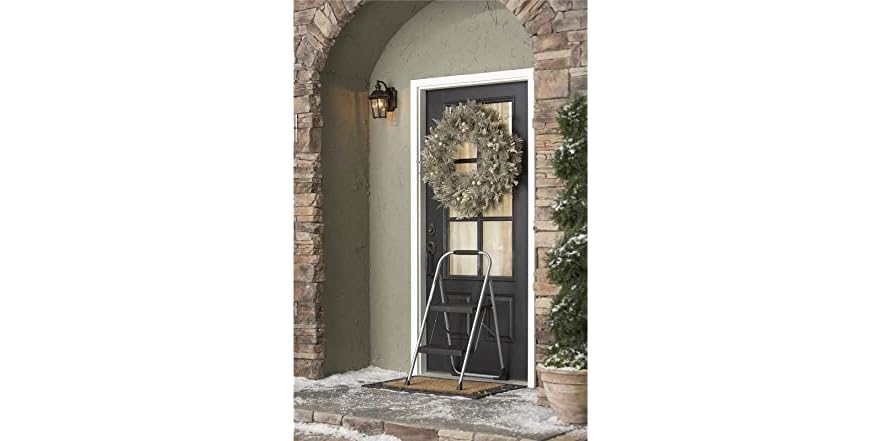 Cosco Two Step Big Step Folding Ladder (Gray)