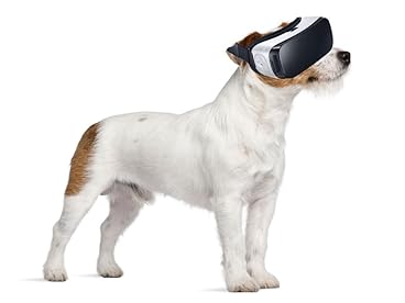 Dog VR Headset