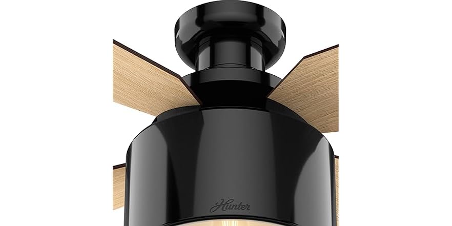 Hunter Fan Ceiling Fan with LED