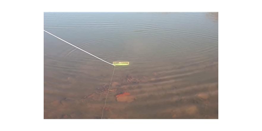 Golden Retriever Golf Disc Retriever