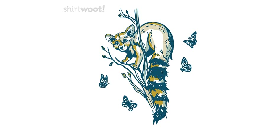 Ringtail Cat