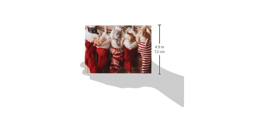 Avanti Press Christmas Cards, Stocking Full of Kittens, 10 Count