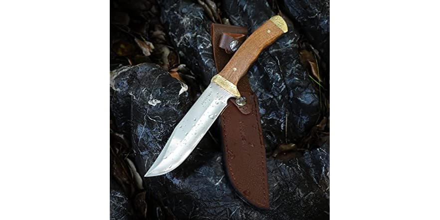 Swiss+Tech Fixed Blade Knife 11 Inch Tang