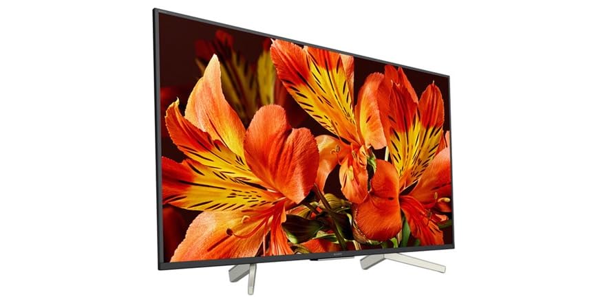 Sony BRAVIA 4K HDR Professional Display TV