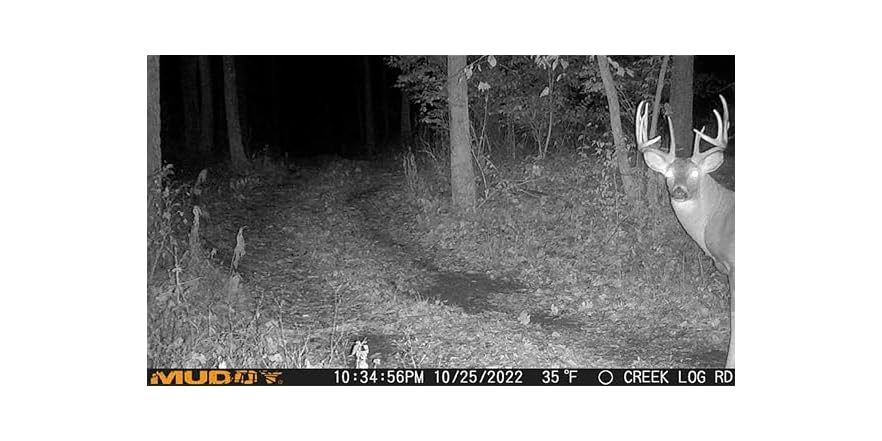 Muddy Mitigator Cellular Trail Camera