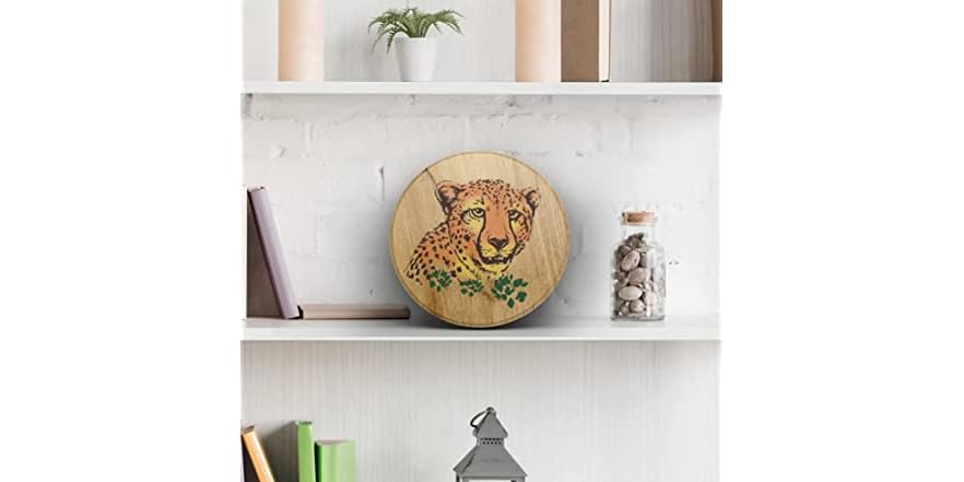 Weller Woodburning Project Kit, 28 Piece