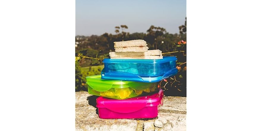 Lexi Home 6pc Plastic Sandwich Container