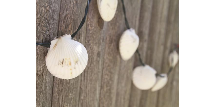 Scallop Shell String Lights- 10 Count