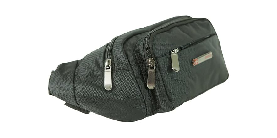 Alpine Swiss Fanny Pack Travel Case