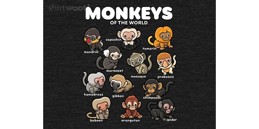 World Monkeys