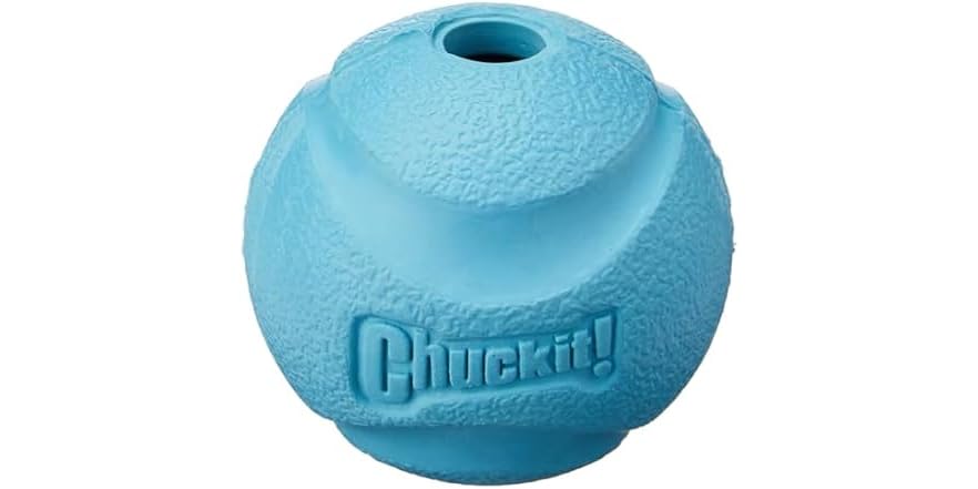 Chuckit! High-Bounce Rubber Fetch Ball, Large 3"