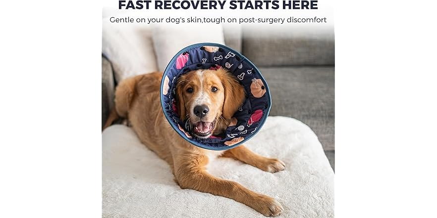 Ejona's furryfamily Dog Cone Collar