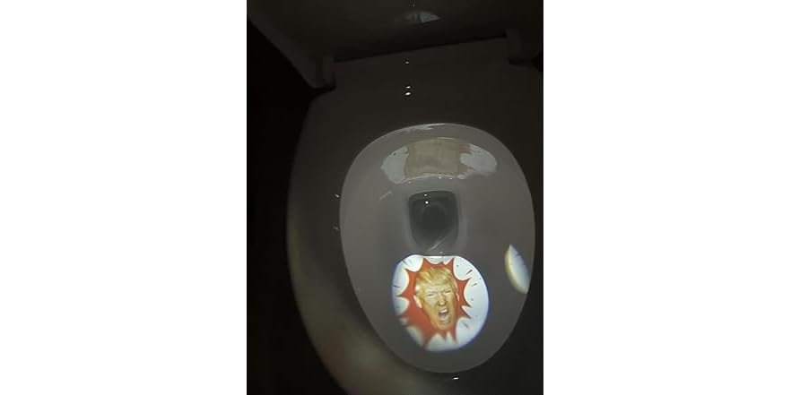 Trump Biden Toilet Light Projector