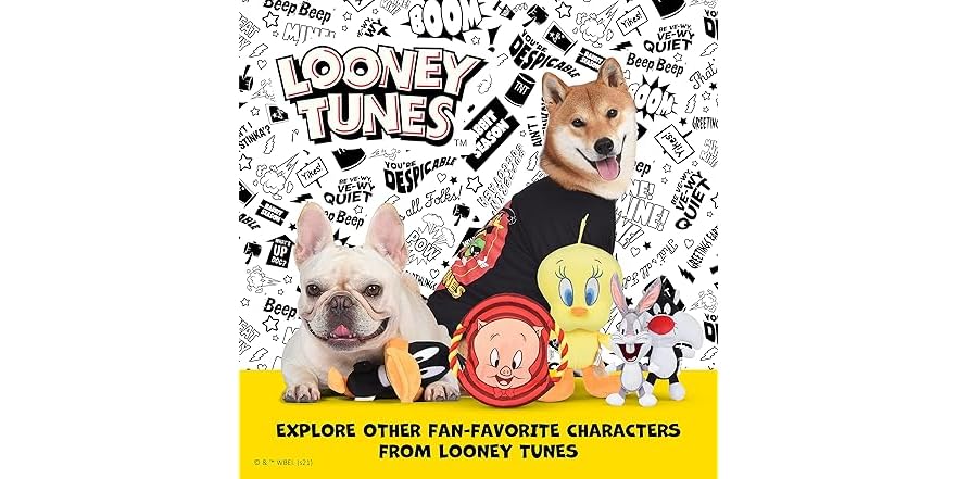 Looney Tunes for Pets Tweety Bird Ball