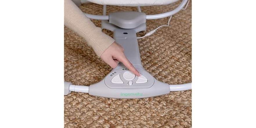 Ingenuity Cozy Spot Swing n Go Swing