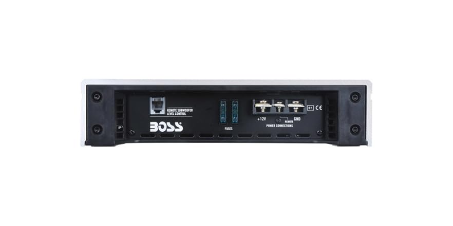 5000W Monoblock Class D 1 Ohm Stable Amp