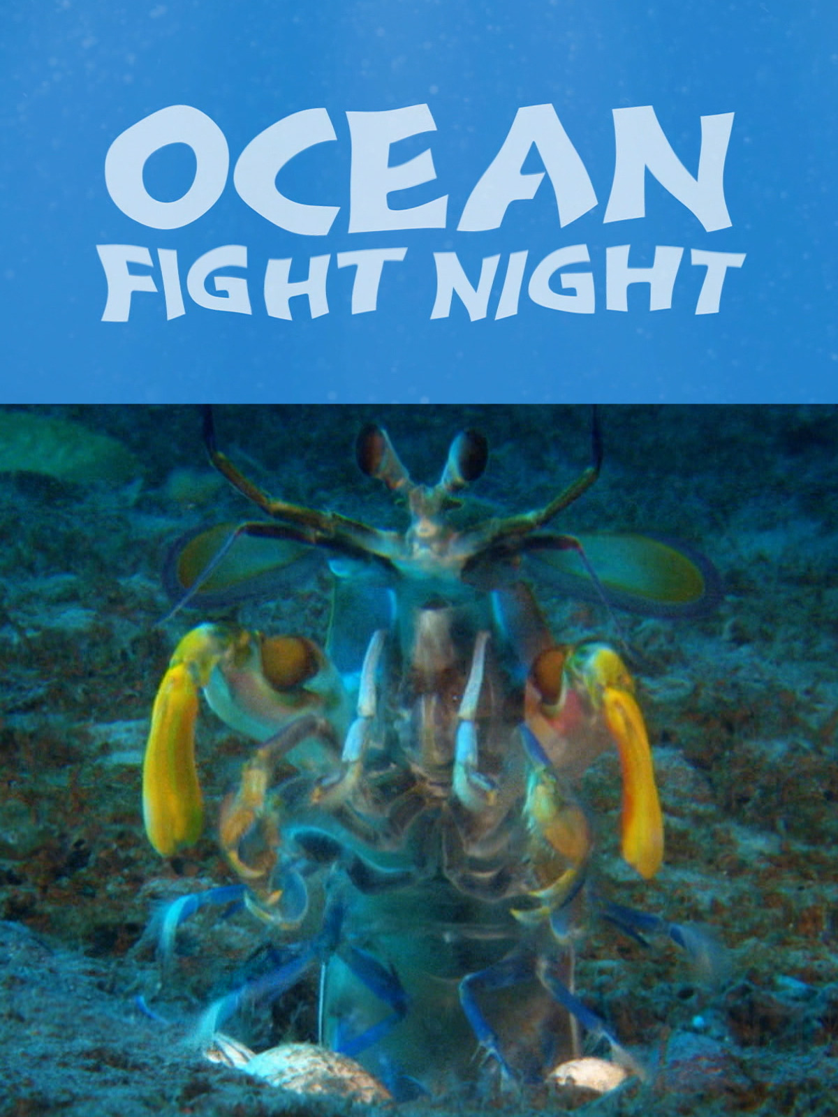 Prime Video: Ocean Fight Night