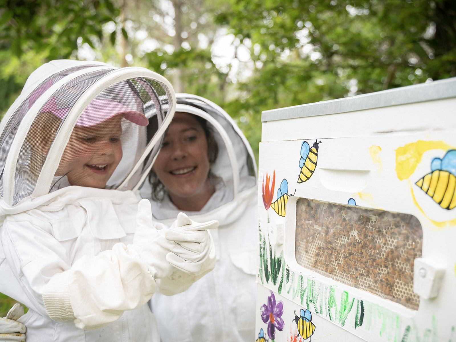 Prime Video: Catalyst The Great Bee Challenge