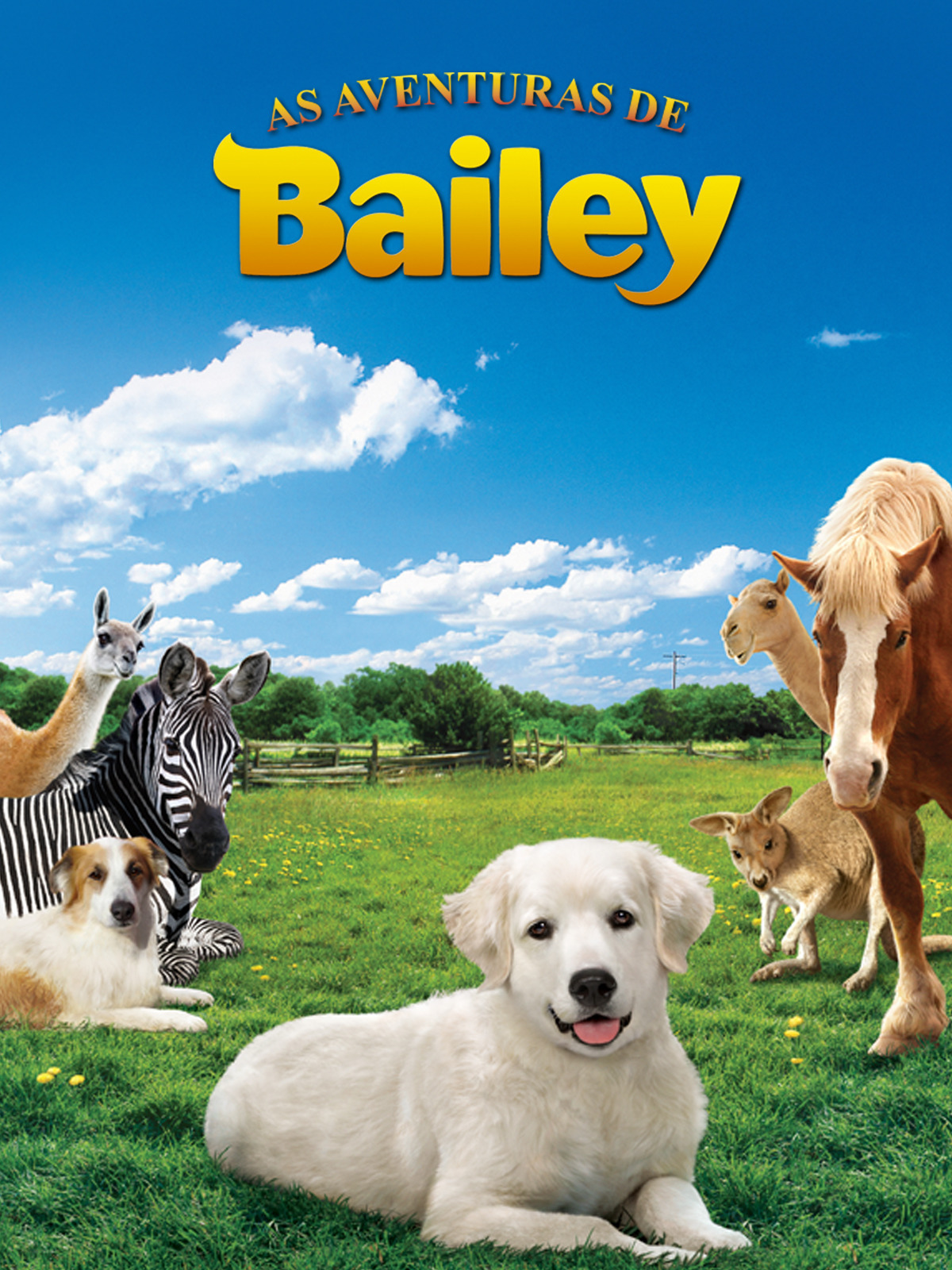 Prime Video: Adventures of Bailey The Lost Puppy