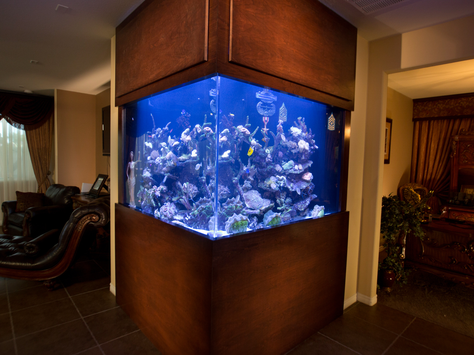 Prime Video: Tanked - Season 6