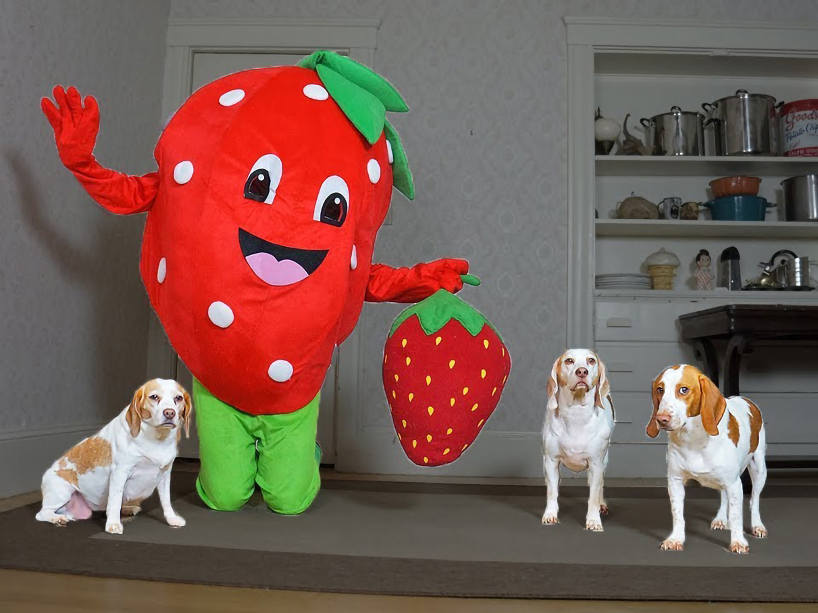 Prime Video: Maymo Gets Pranked