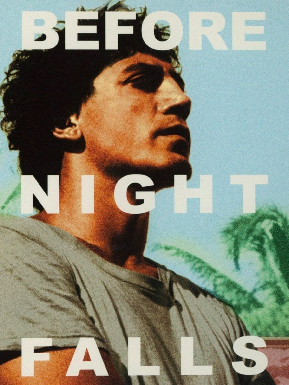 Prime Video: Before Night Falls