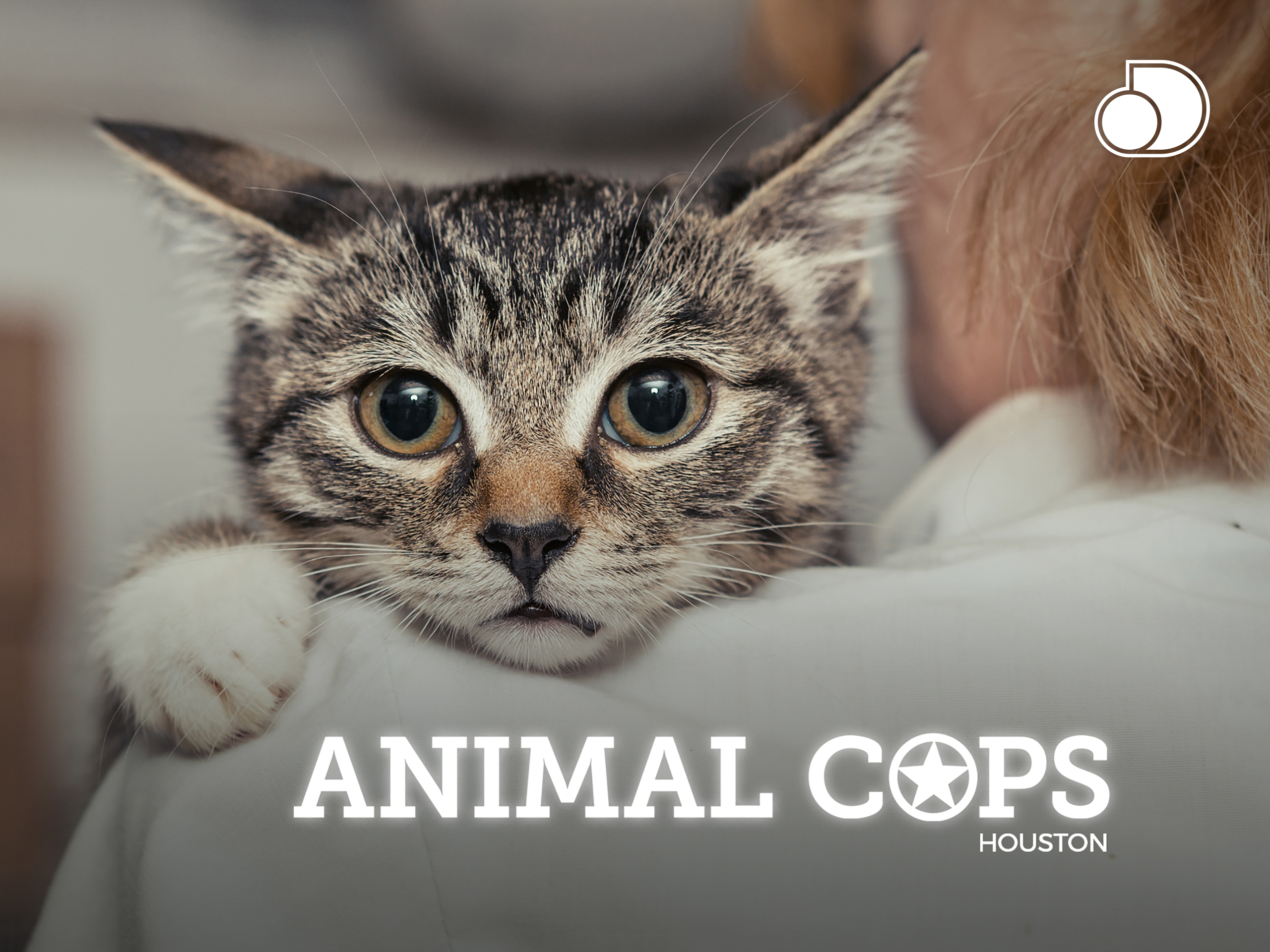 Prime Video: Animal Cops: Houston - Season 3