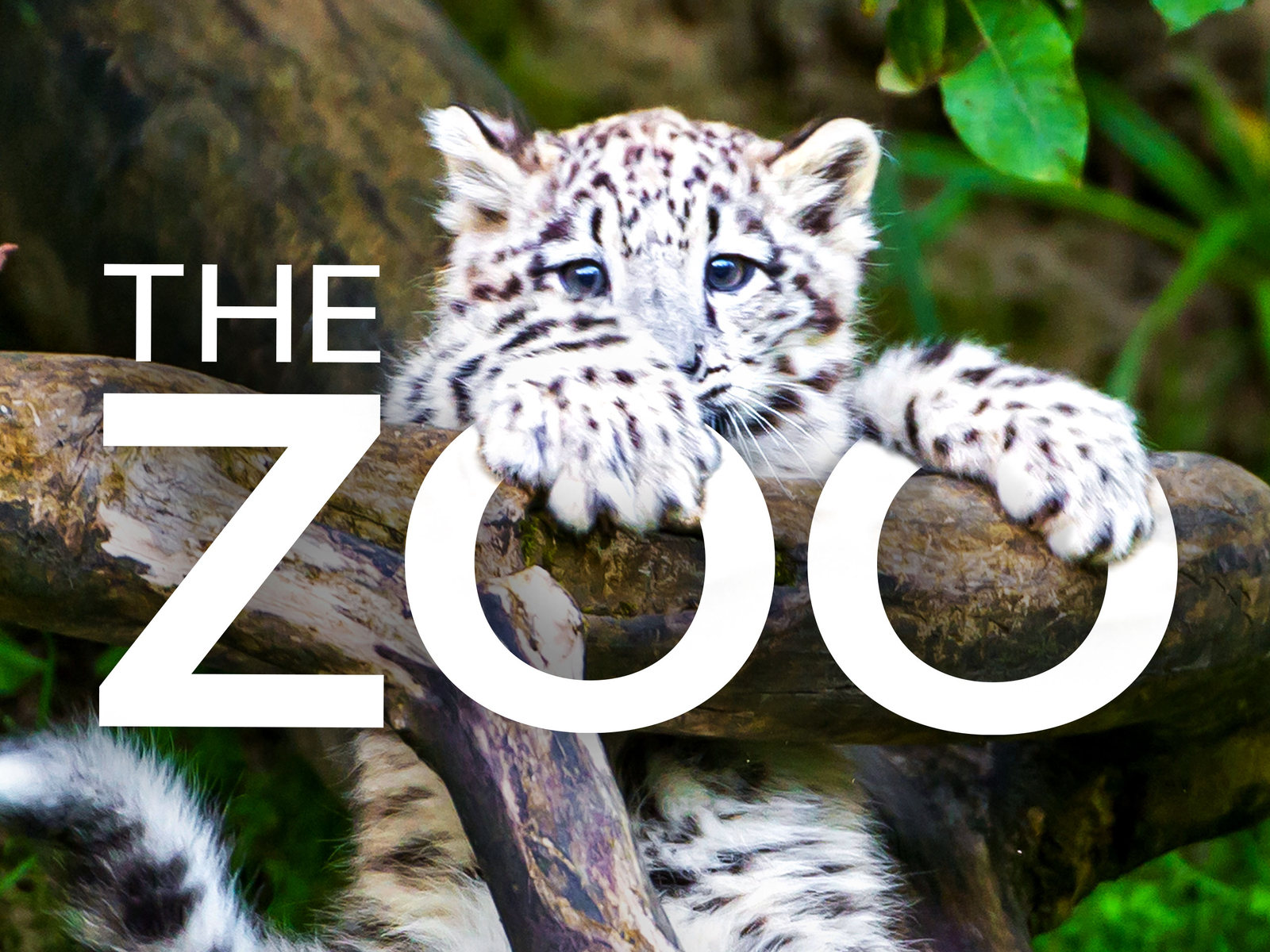 Prime Video: The Zoo - Season 3