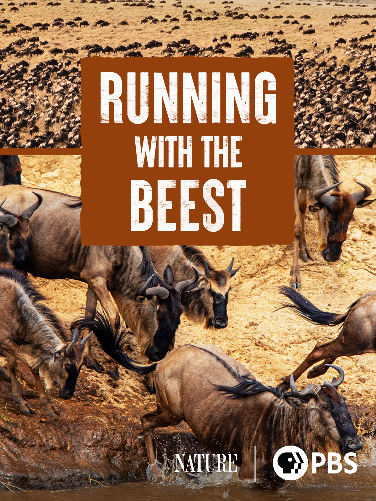 Prime Video: Running with the Beest