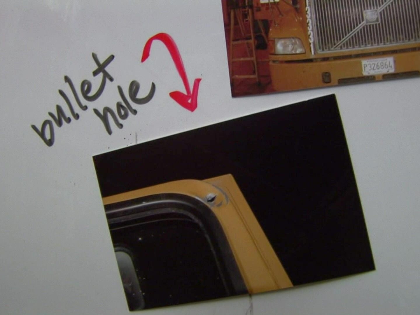 Prime Video: Solved: Extreme Forensics - Season 1