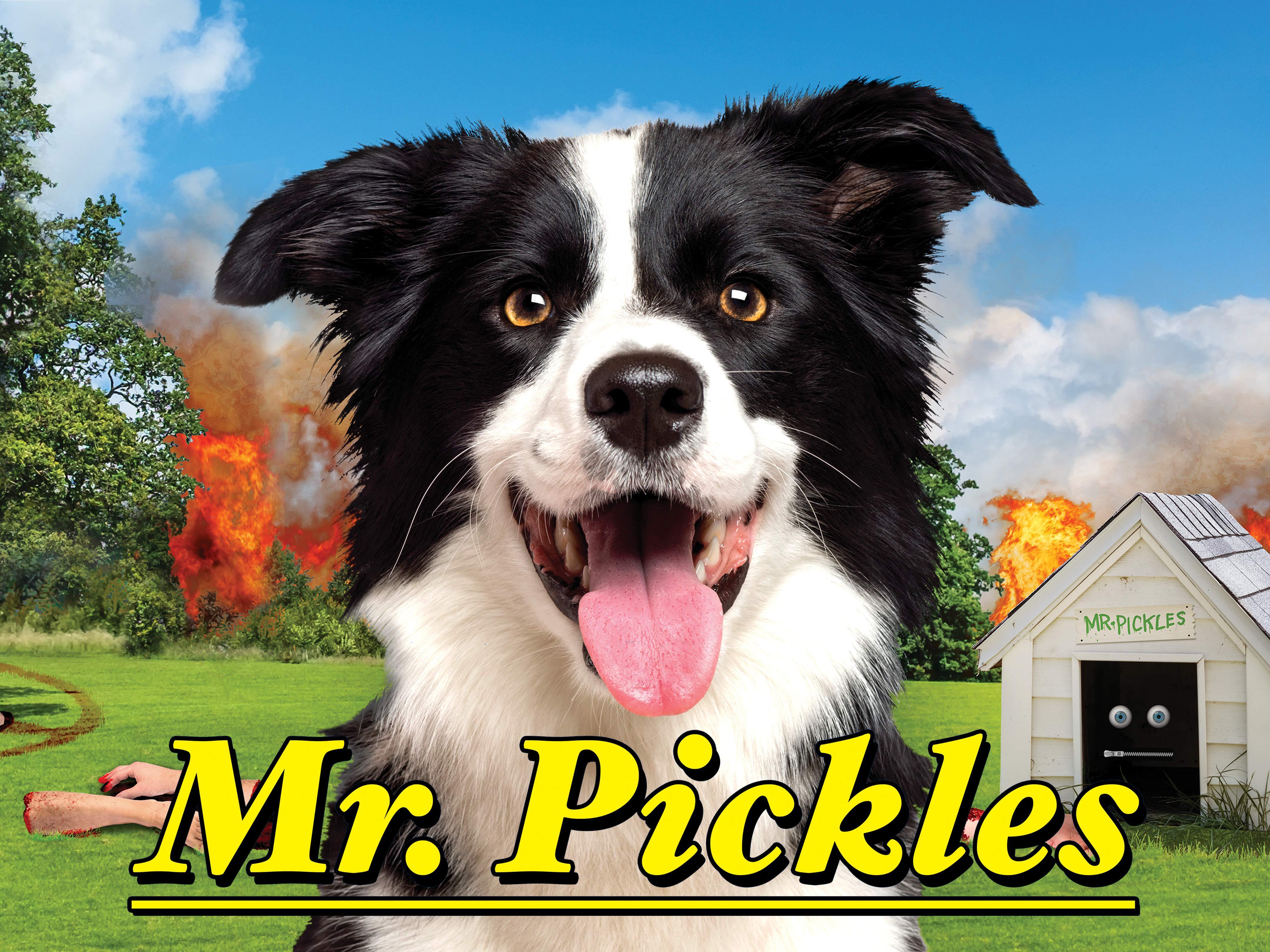 Prime Video Mr Pickles Season 4